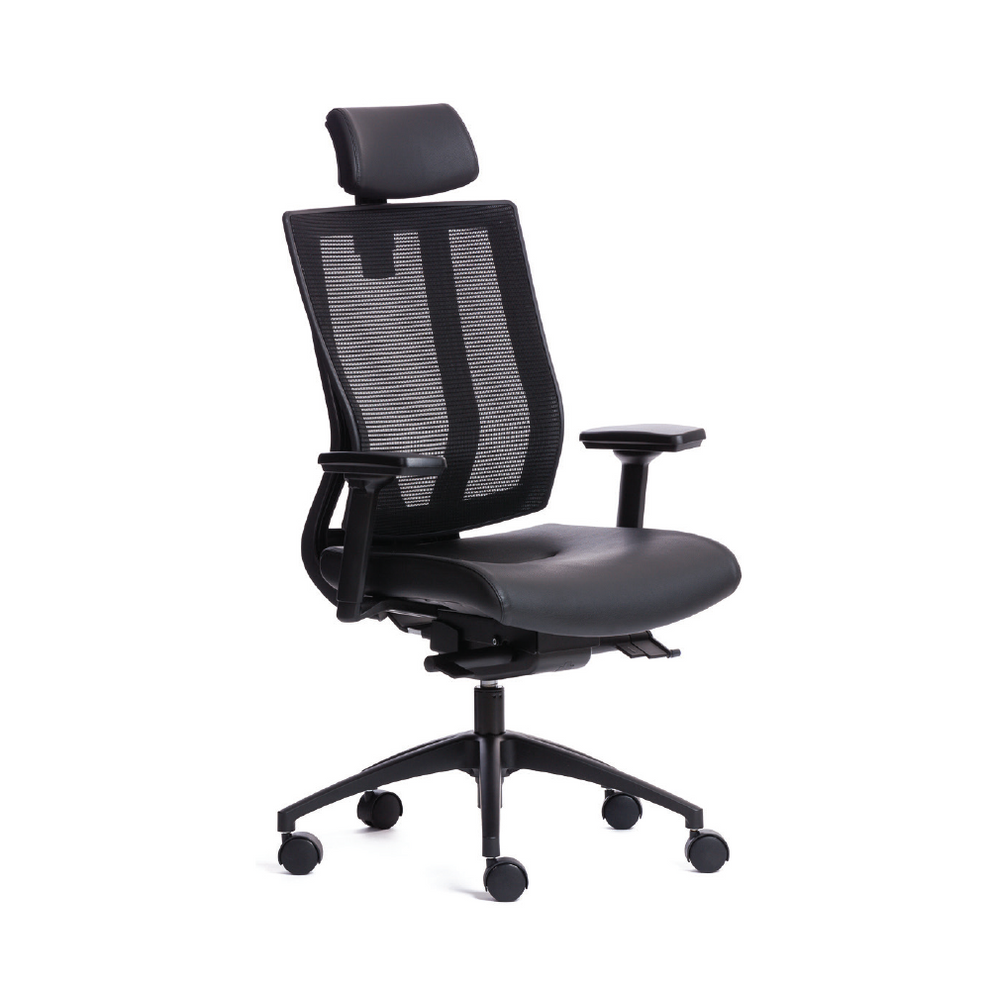 NetOne Ergonomic High-Back Office Chair – Modern Office