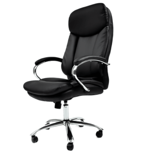 ProForm Posture Office Chair – Modern Office